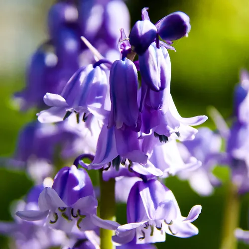 May time - Boltholes and Hideaways