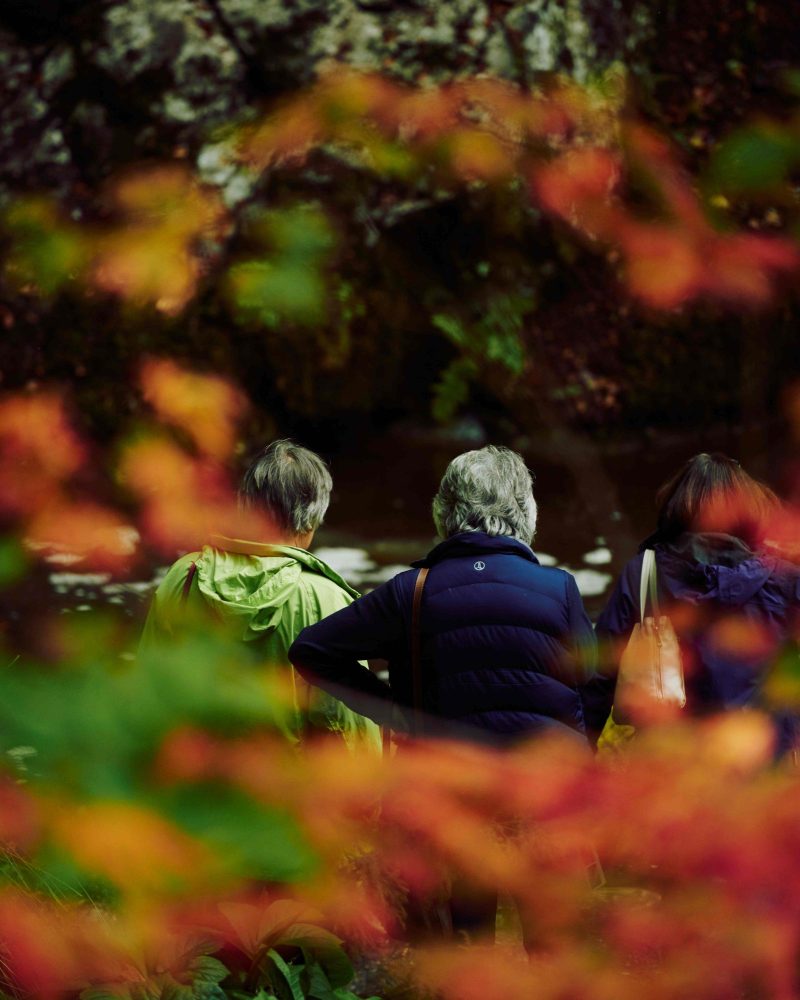 Autumn Magic at Plas Cadnant - Boltholes and Hideaways