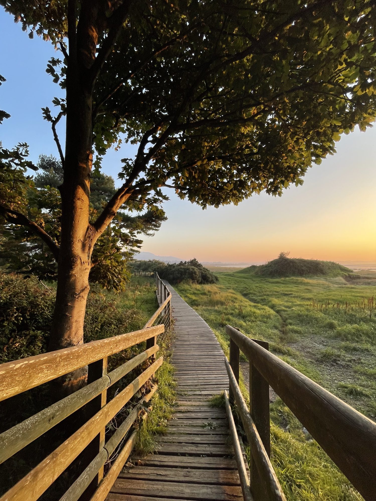 On the horizon: Short circular strolls on Anglesey - Boltholes and ...